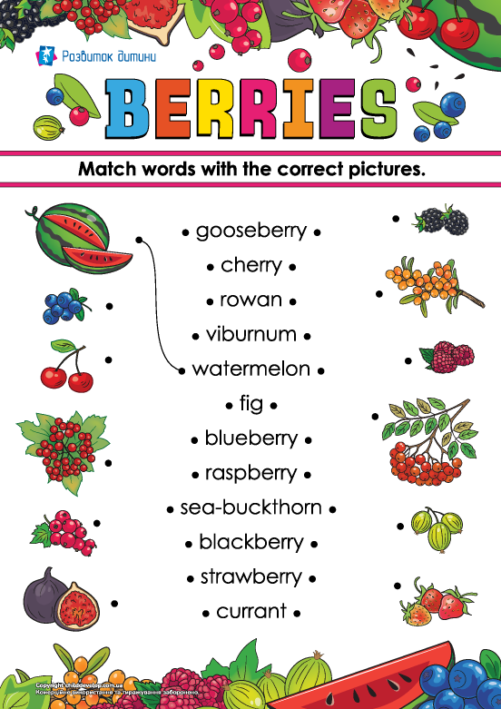 Berries (ягоди) – match words and pictures – Розвиток дитини