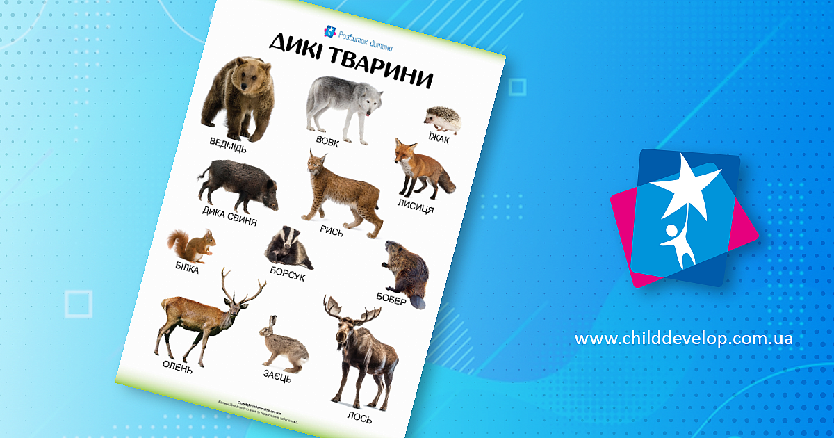 Дикі тварини: плакат-наочність для дітей – роздрукувати завдання Дикі ...