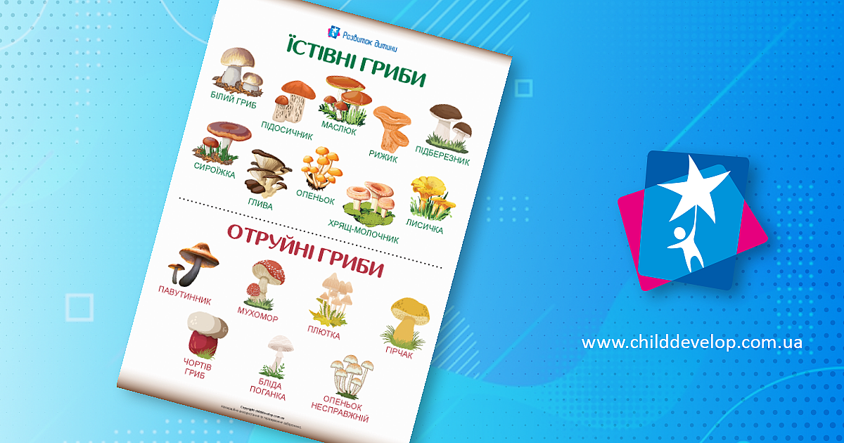 Їстівні та отруйні гриби – інформаційний плакат-наочність ...